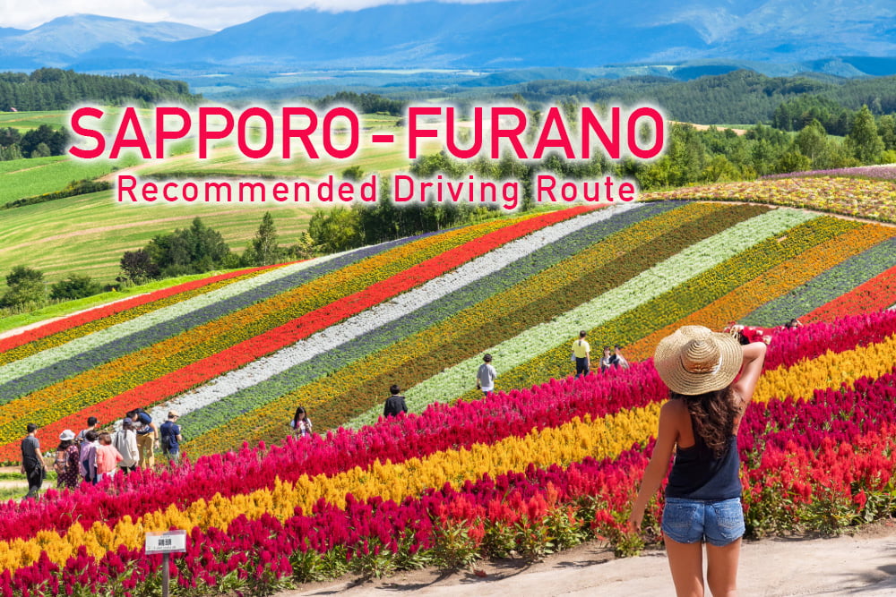 Driving from Sapporo to Furano: Travel Time & Must-See Spots – BIG EAST